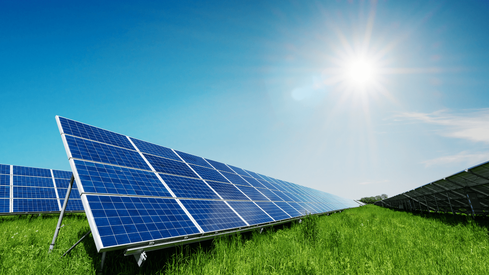 Residential Ground Mounted Solar Panels: Everything You Need To Know